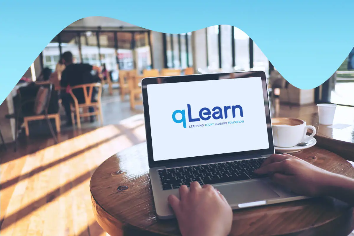 Курсы qLearn: выберите свое направление - QNET